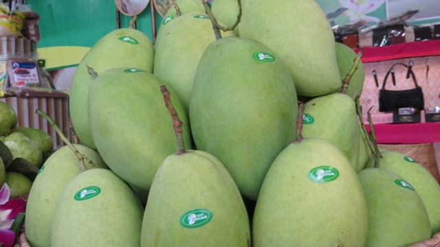 Đồng Tháp kiến nghị cần sớm quy định về cấp, quản lý và sử dụng mã số ...